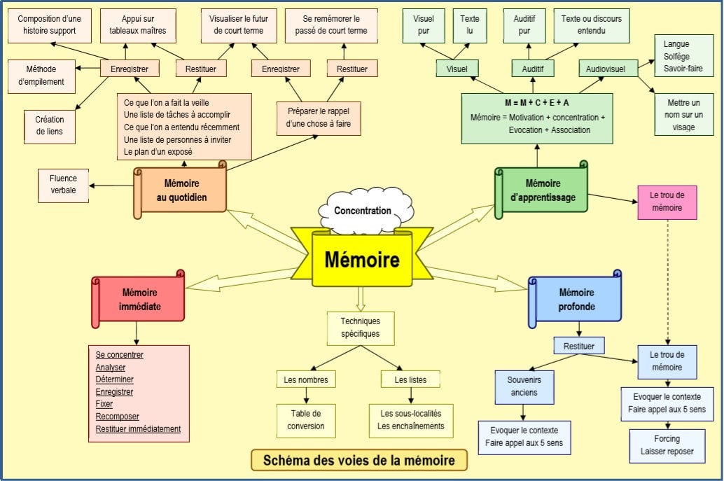 Qu’est-ce que la mémoire ? (5/5) | Mens Sana